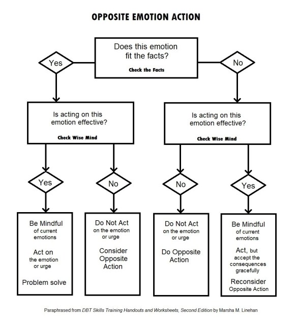 Opposite Action – Calm and Calamity